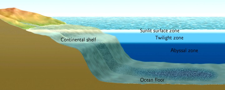 Diagram Illustrating Layers Of The Ocean | Curriki